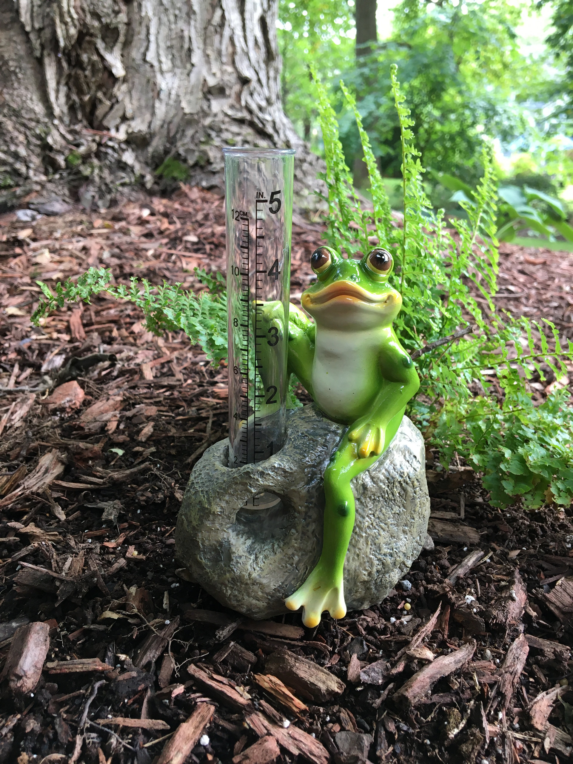 6" Frog Rain Gauge - Eclectic - Garden Statues And Yard Art - by Santa ...