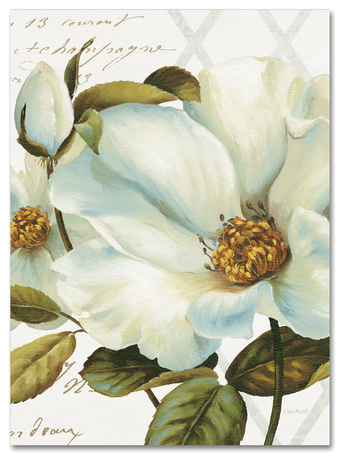 Lisa Audit 'White Floral Bliss II Crop' Canvas Art, 47"x35 ...