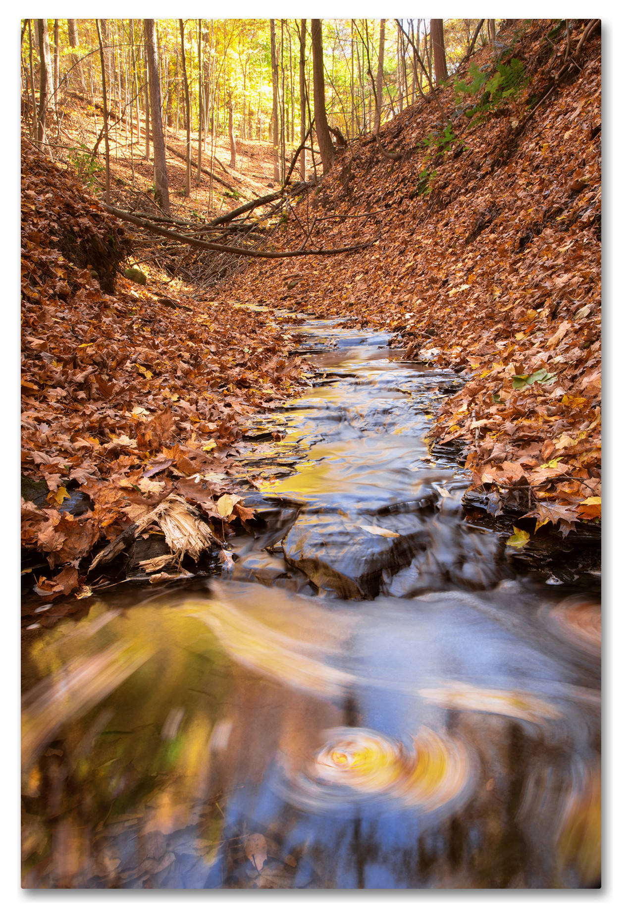 Jason Shaffer 'Secret Spot' Canvas Art, 16 x 24 - Contemporary - Prints ...