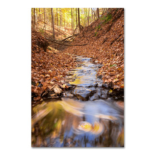 Jason Shaffer 'Secret Spot' Canvas Art, 12 x 19 - Contemporary - Prints ...