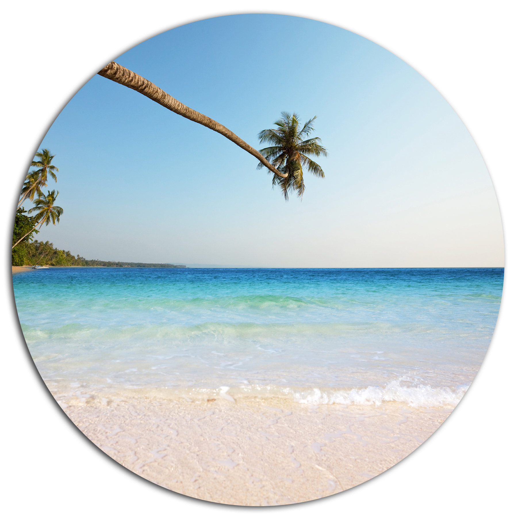 Long Coconut Palm Into The Sea, Seashore Disc Metal Wall Art, Disc of ...