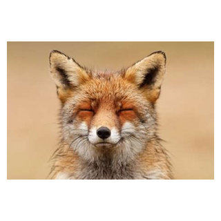 Zen Fox Red Portrait Poster Print by Roeselien Raimond - Item ...