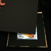 Single Comic Book Frame with Classic Moulding - Traditional - Picture ...