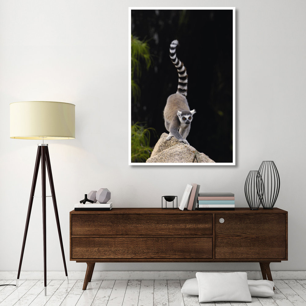 "Ring-tailed Lemur in the Andringitra Mountains, Madagascar" Paper Art ...