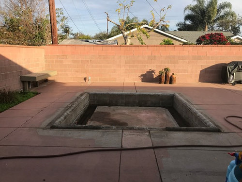 Ideas for empty pit in backyard?