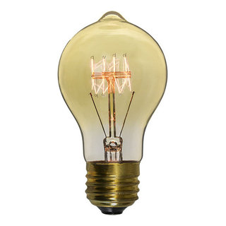 Antique, Victorian Bulb - Traditional - Led Bulbs - by Hangout Lighting ...