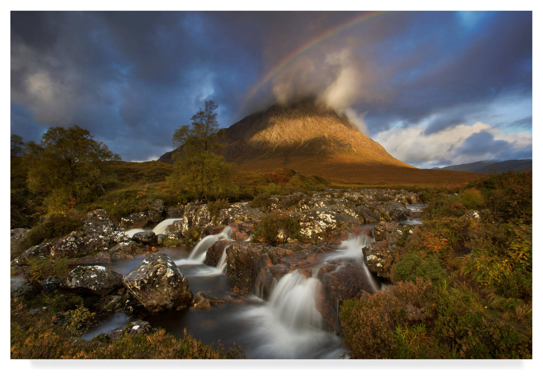 Krzysztof Nowakowski 'Trees Of Scotland' Canvas Art, 47"x30" - Rustic ...