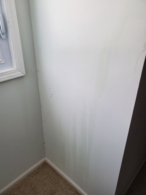 Mold/streaking on walls?