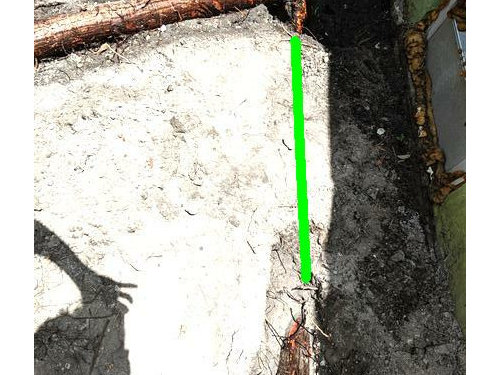 Removing tree roots near a gas line