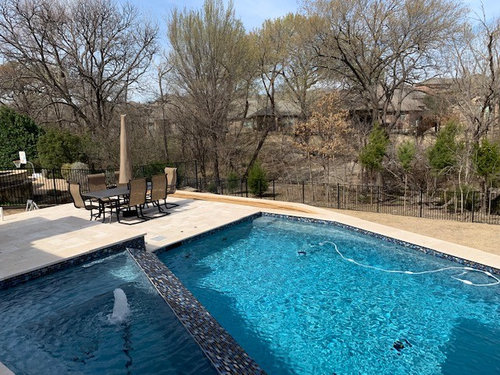 Just built a pool in McKinney Texas and need some advice on plants