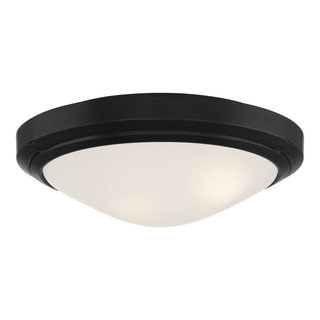 Access Lighting Outdoor Led Flush Mount - Transitional - Outdoor Flush ...