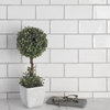 Chester Ceramic Wall Tile - Traditional - Wall And Floor Tile - by ...
