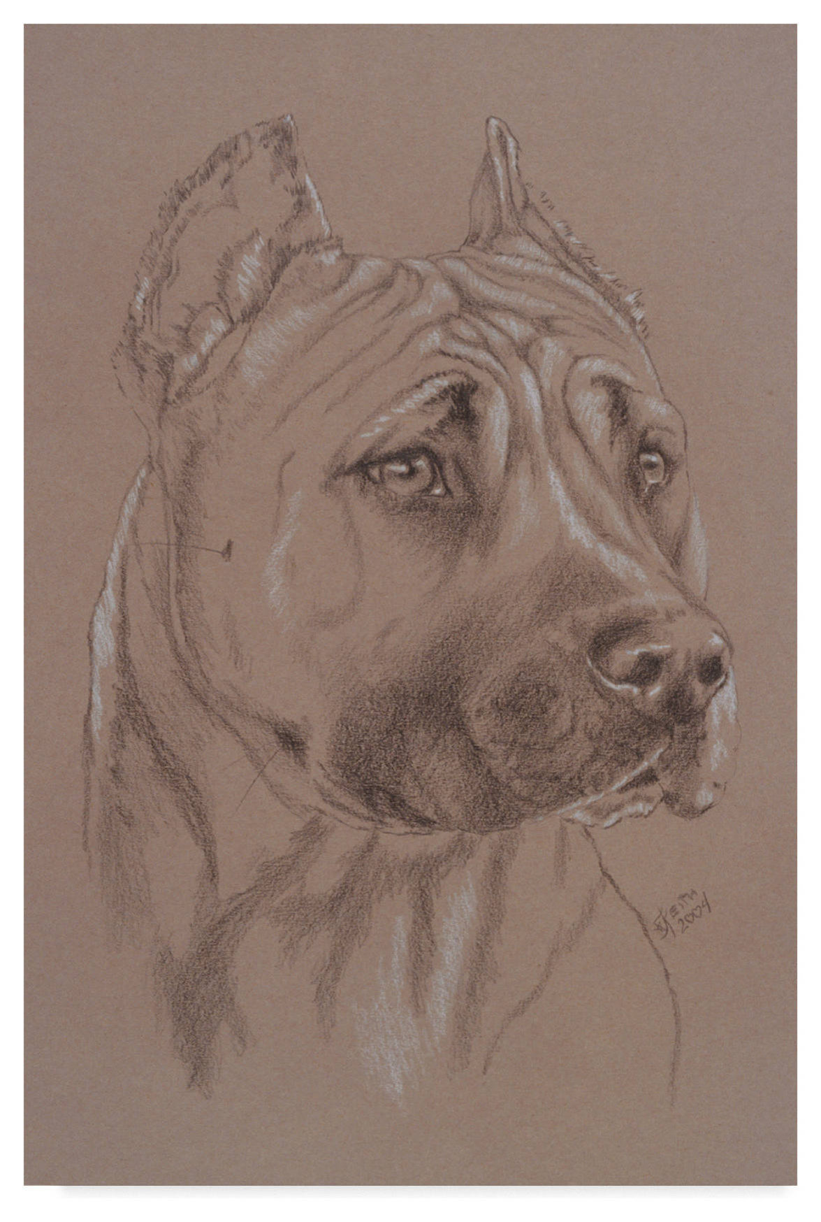 "Am Staffordshire Terrier" by Barbara Keith, Canvas Art, 30"x47 ...