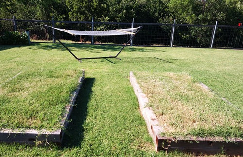 Low maintenance flower bed ideas?