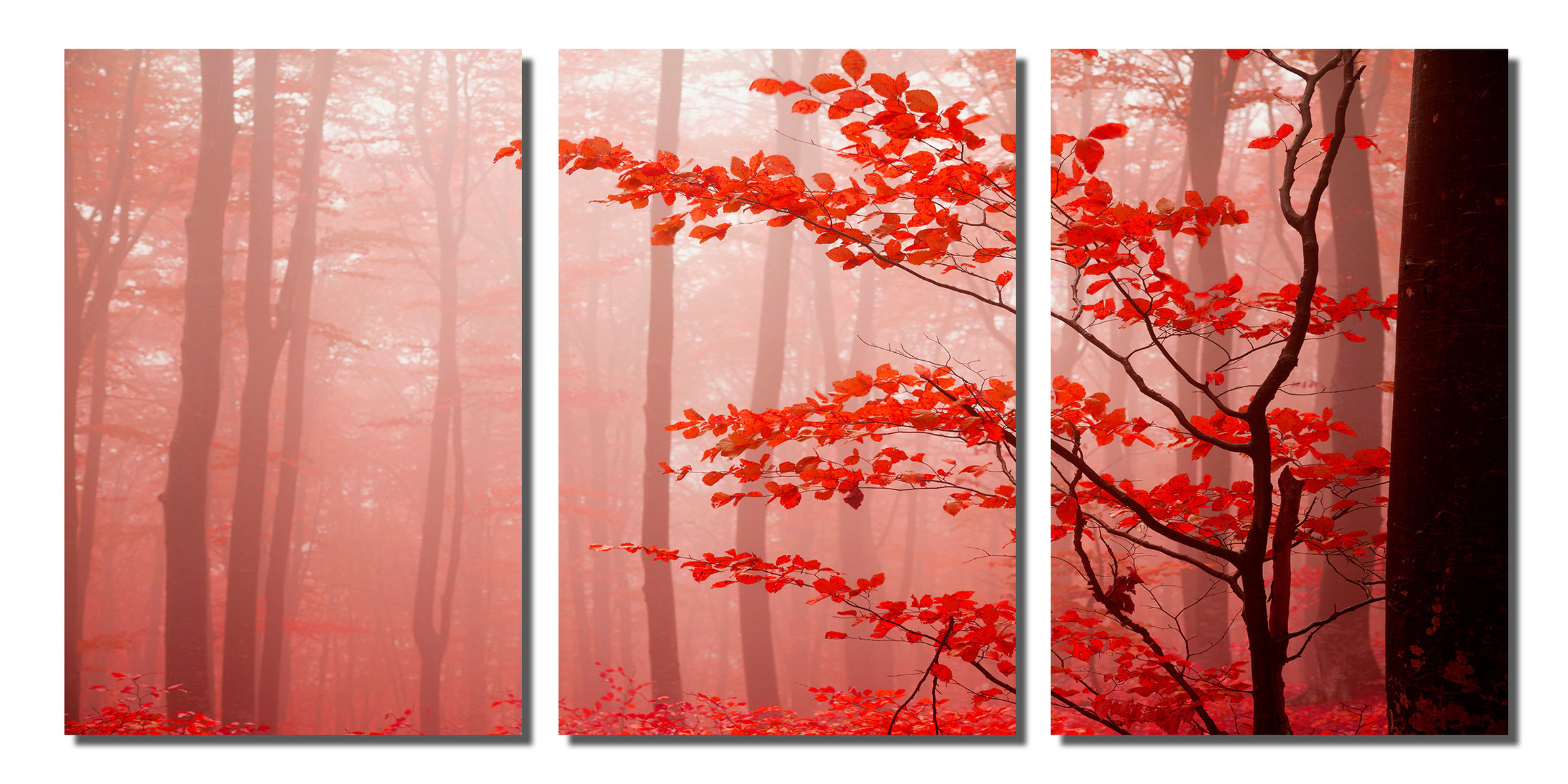 Red Tree and Foggy Forest Mist, Metal Print Wall Art, 3 Panel Split ...