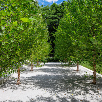 Tree Bosque - Photos & Ideas | Houzz