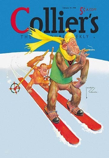 Skiing Monkeys, 12" x 18" - Traditional - Prints And Posters - by ...