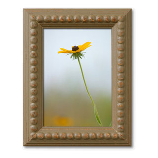 Grand Bohemian 1.375" Wide Solid Wood Picture Frame, 9"x12" - French ...