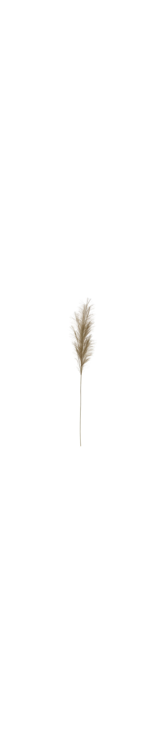 Polyester Bristle Grass Branch, Set of 12 - Artificial Plants And Trees ...