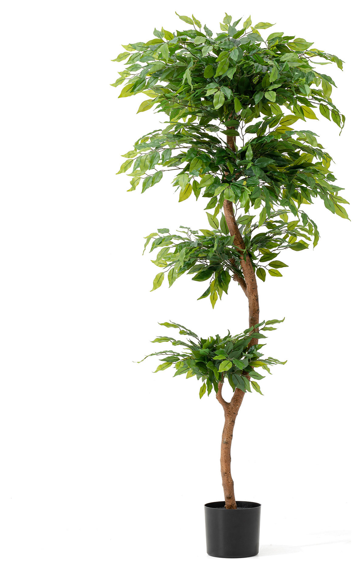5' Creative Shaped Faux Ficus Tree in Pot - Traditional - Artificial ...