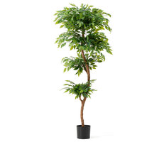 5' Creative Shaped Faux Ficus Tree in Pot - Traditional - Artificial ...