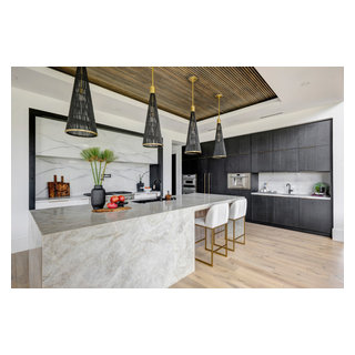 Texas Modern Aggie Land New Build - Modern - Kitchen - Houston - by ...