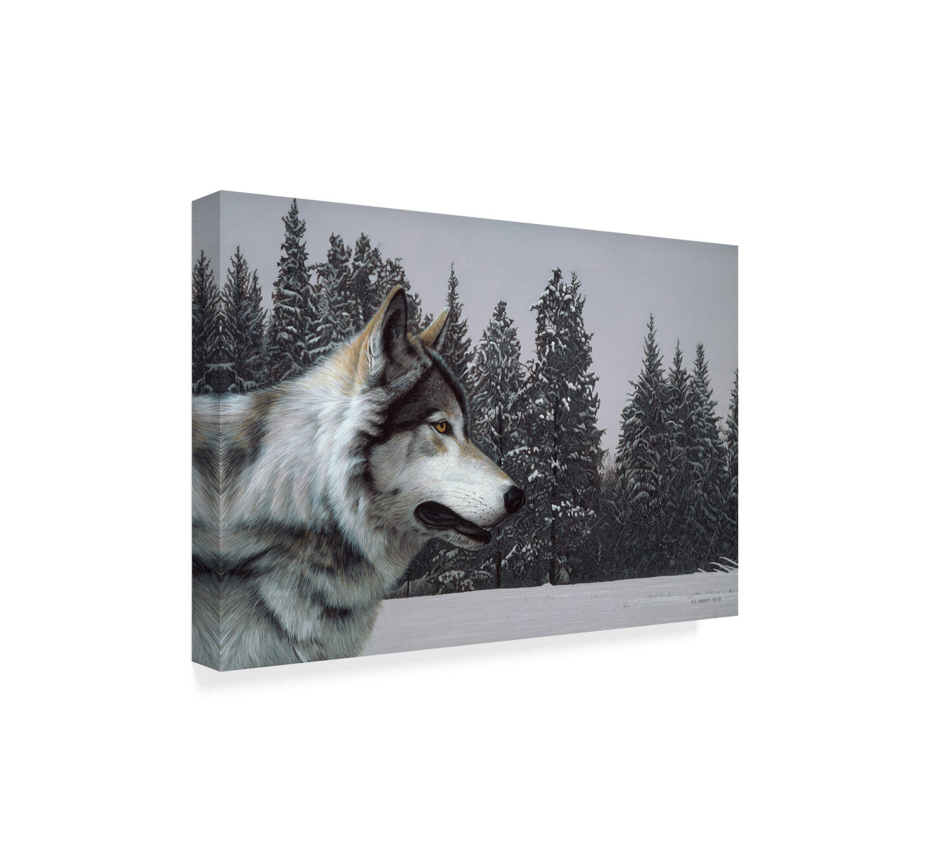 Ron Parker 'Wolf Portrait' Canvas Art, 47"x30" - Rustic - Prints And ...