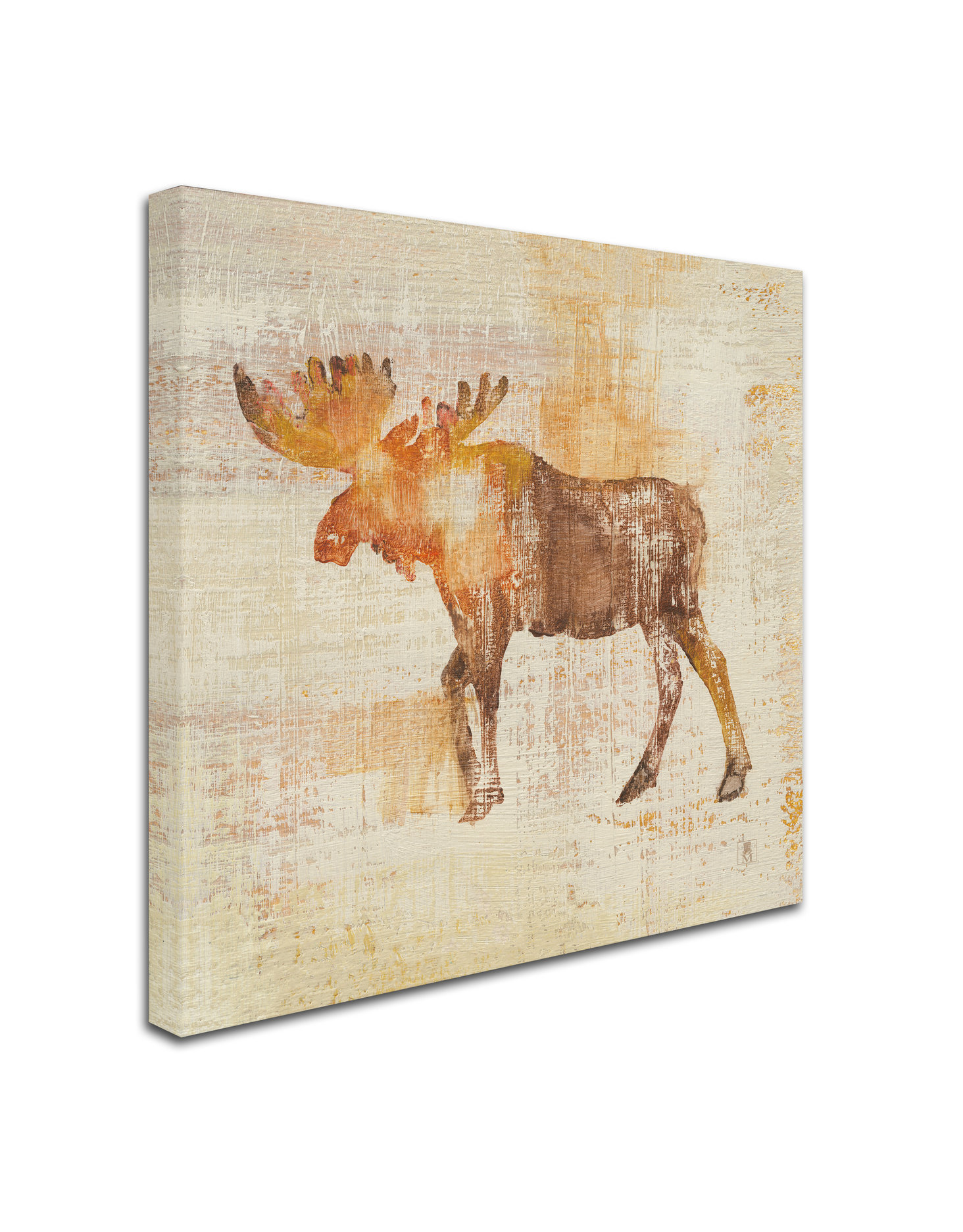 Studio Mousseau 'Moose Study' Canvas Art, 14"x14" - Rustic - Prints And ...