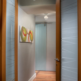 75 Beautiful Modern Hallway Pictures & Ideas | Houzz