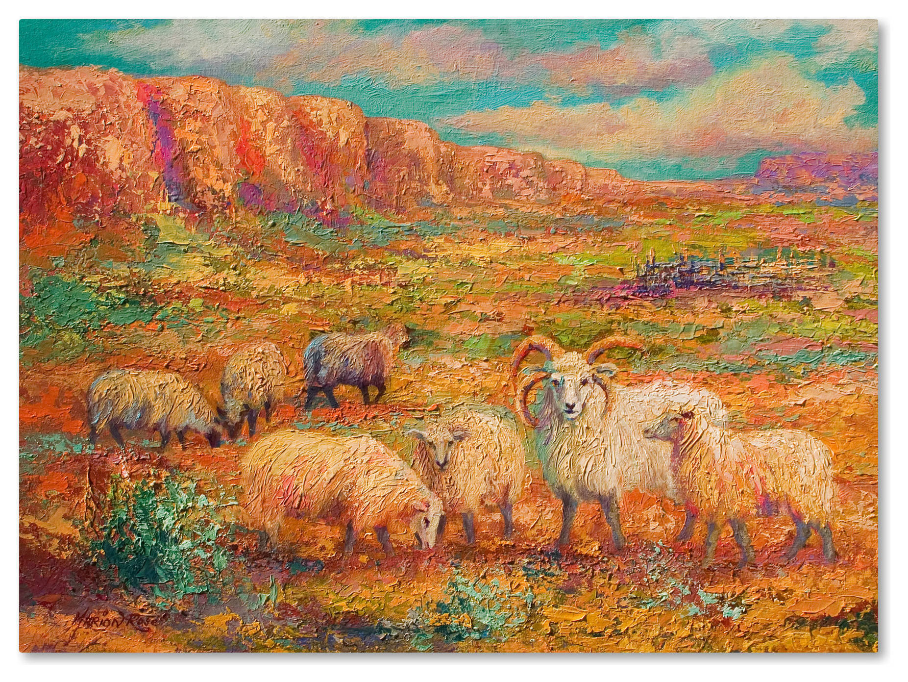 Marion Rose 'Churro Sheep' Canvas Art, 24"x 18" - Farmhouse - Prints ...