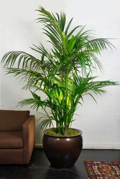 Office needs wall decor and accessories