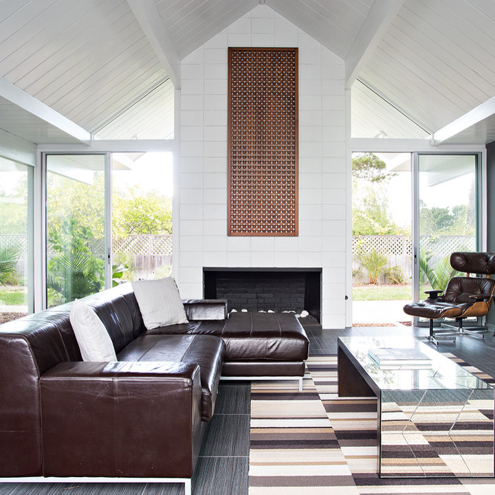 Fireplace Insert Ideas - Photos & Ideas | Houzz