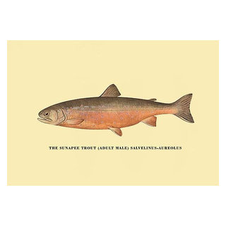 The Sunapee Trout, 12" x 18" - Prints And Posters - by Buyenlarge Inc ...