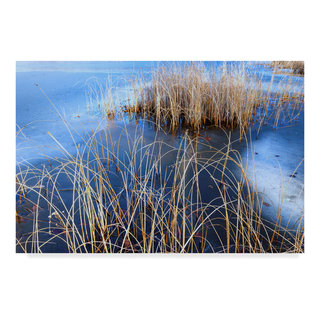 "Bull Rush And Reeds In Ice Mendon Ponds" by Anthony Paladino, Canvas ...