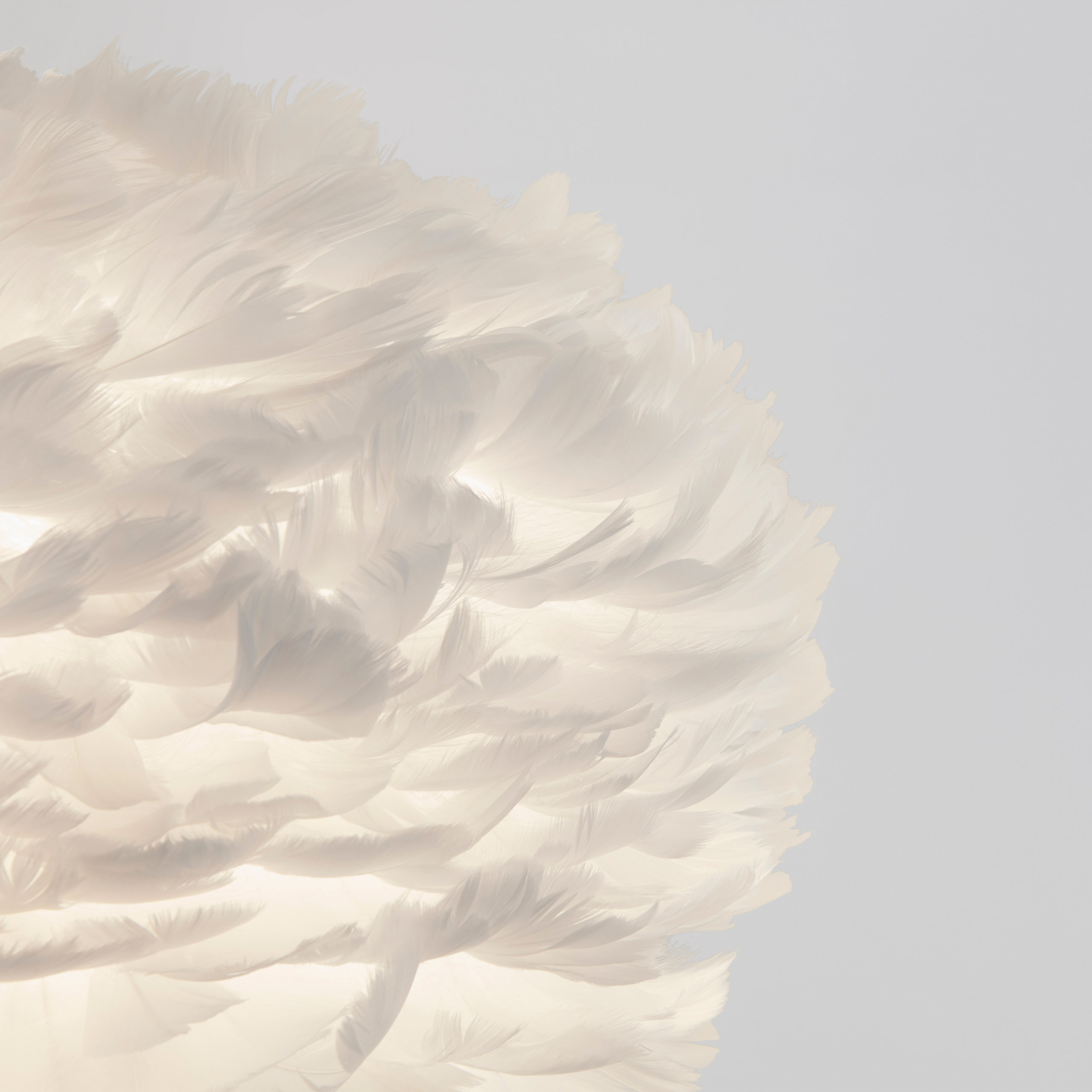 Artika Plume Modern Feathers Pendant Light Fixture - Contemporary ...