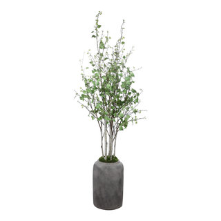 Aldis Potted River Birch - Modern - Artificial Plants And Trees - by ...