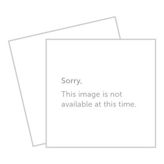 Scope Office Chair - Contemporary - Office Chairs - by House Bound | Houzz