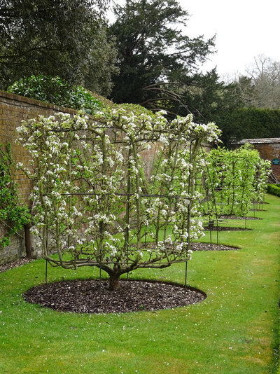 9 Ways to Create Height in Your Garden | Houzz UK