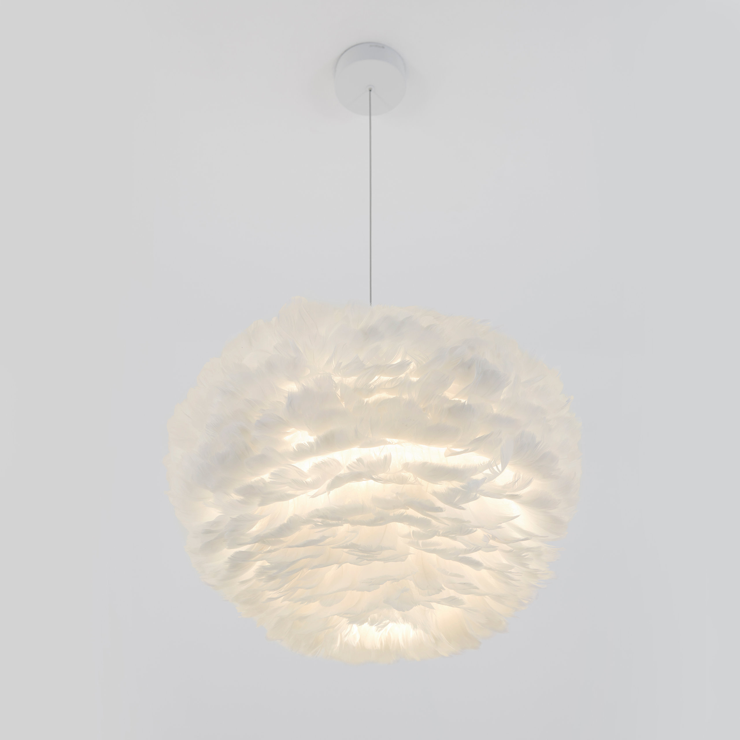 Artika Plume Modern Feathers Pendant Light Fixture - Contemporary ...