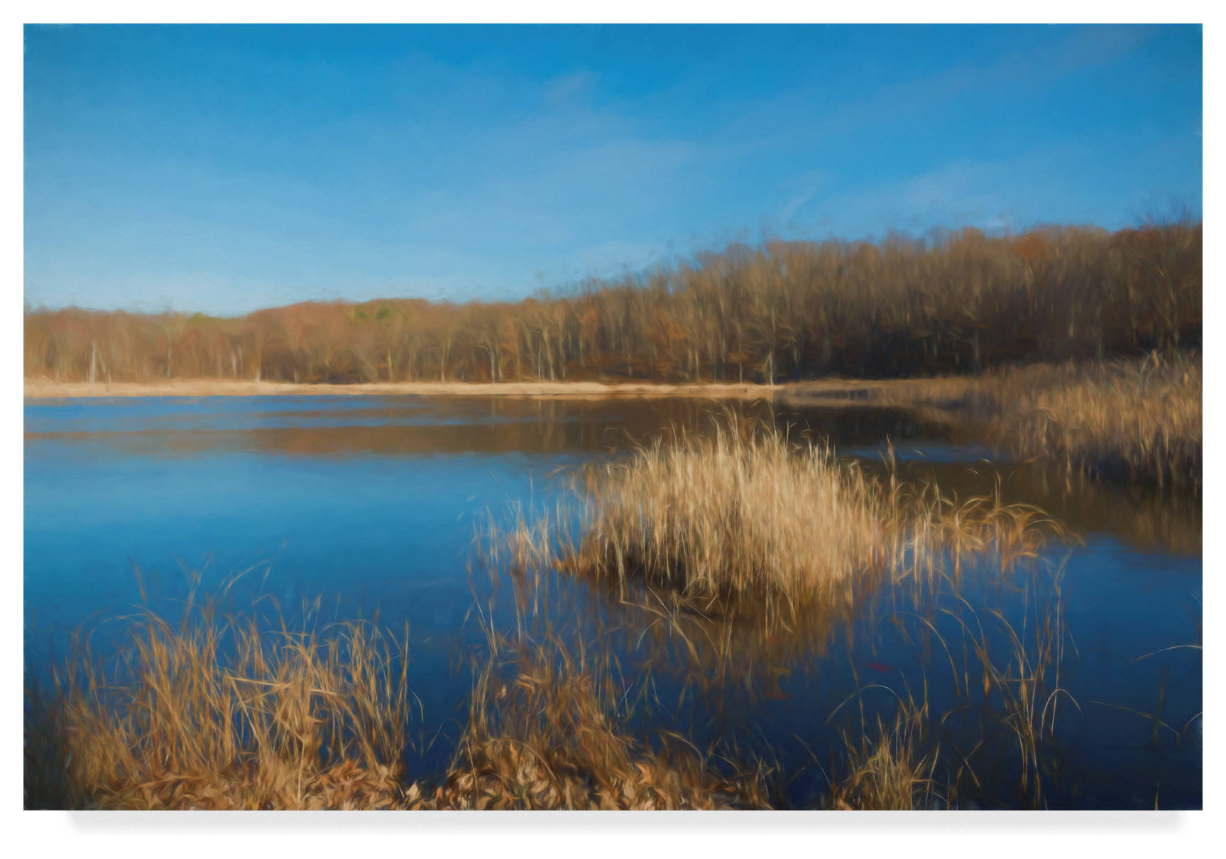 "Reeds And Bull Rush In Pond" by Anthony Paladino, Canvas Art, 16"x24 ...