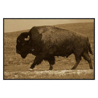 "American Bison male, Durham Ranch, Wyoming - Sepia" by Pete Oxford ...