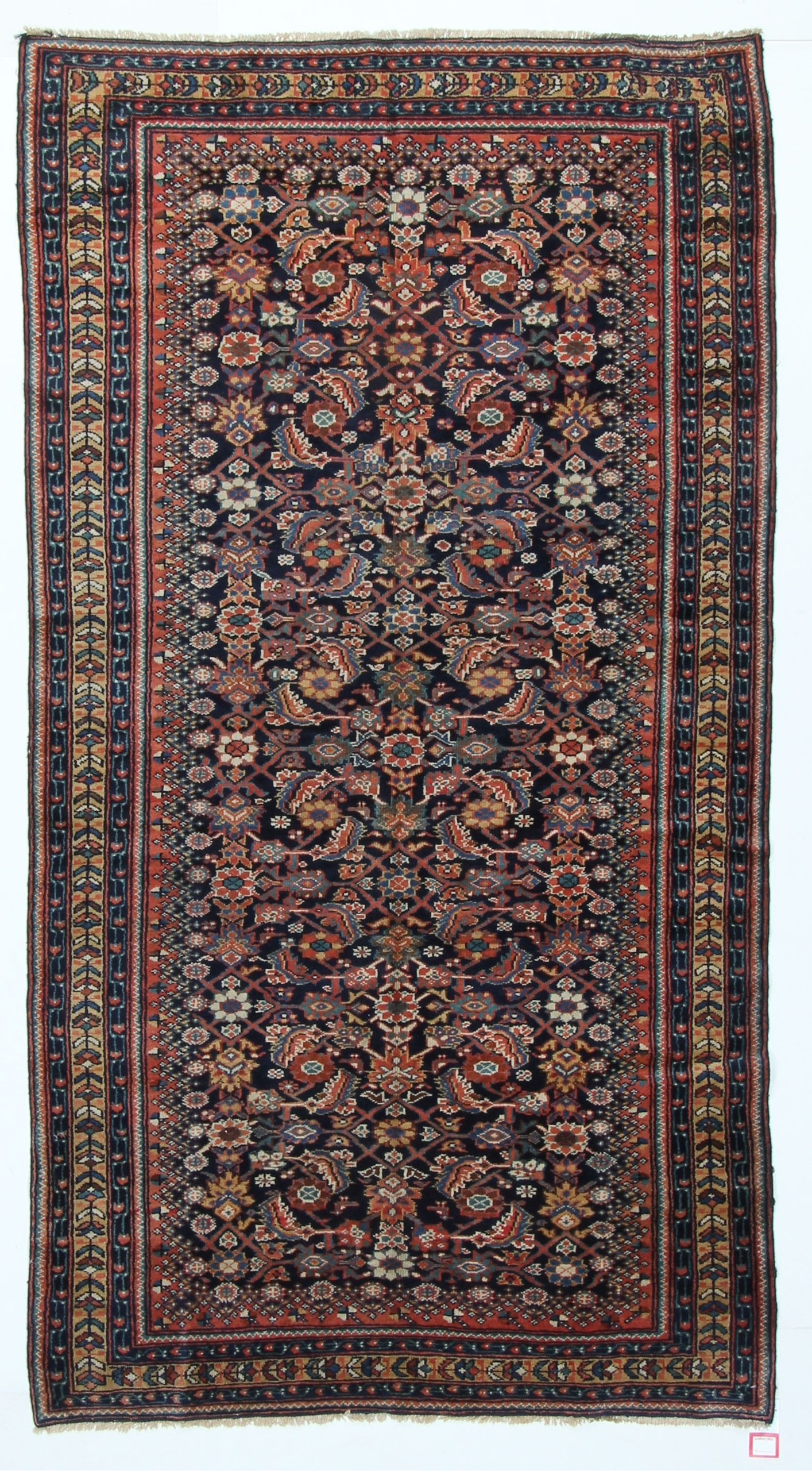 Malayer Oriental Rug - Mediterranean - Area Rugs - by WERCO | Houzz