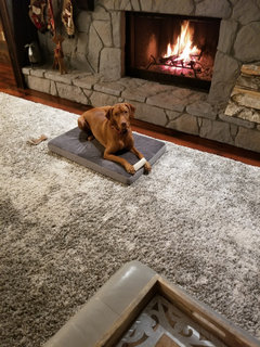 Houzz Call: Show Us Your Pet Lounging at Home by the Fire