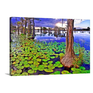 Cypress Tree Swamp Sunset Landscape Wrapped Canvas Art Print, 30"x20" - Contemporary - Prints ...