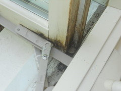 Rotting pella windows