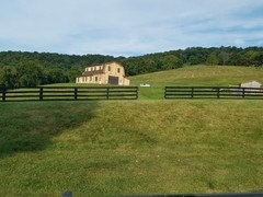 Planting a 100' treeline privacy fence