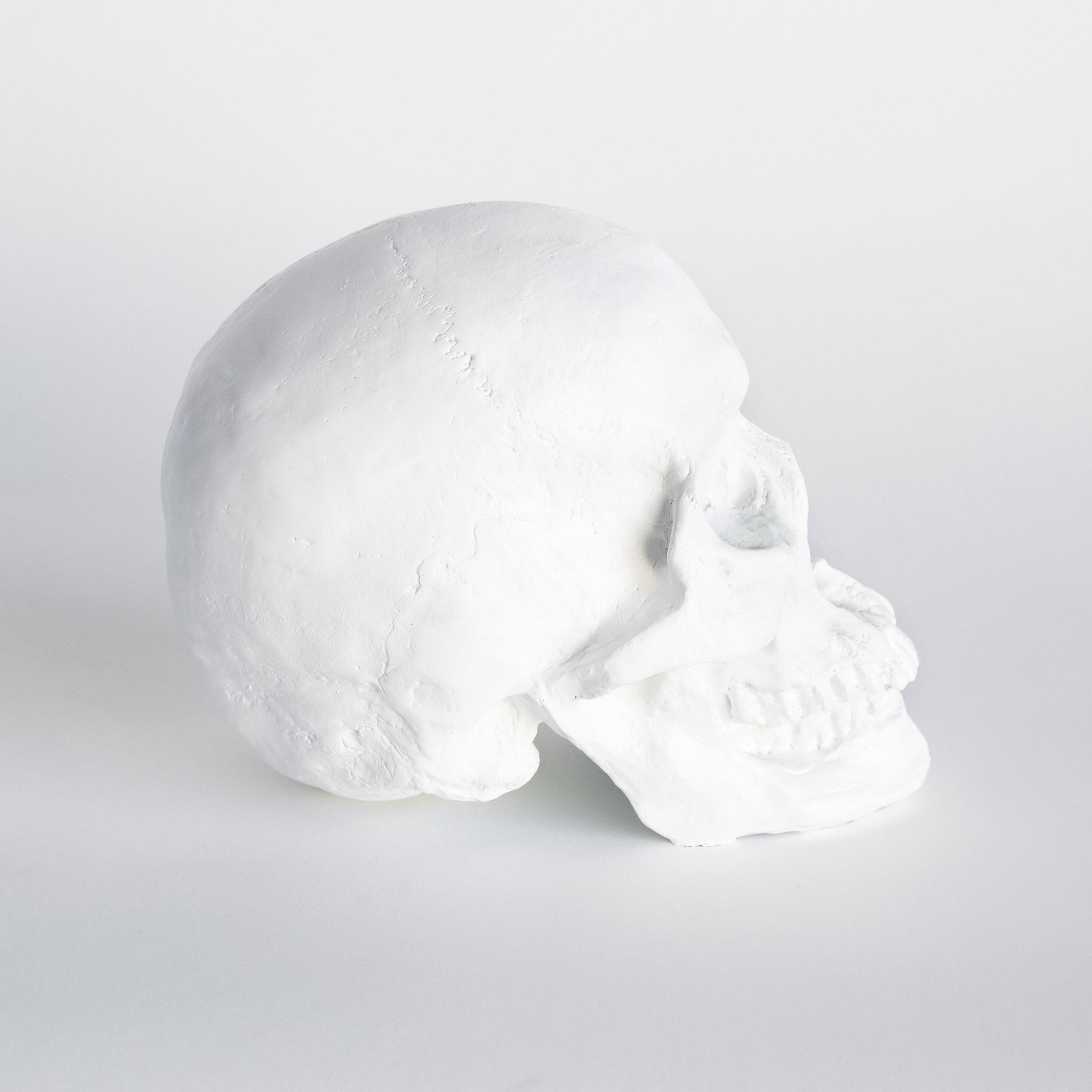 Faux Human Skull, Resin Home Decor, Table Top Skeleton Head - Eclectic ...