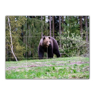 Bear Ceramic Tile Wall Mural HZ500123, 17" Wide x 12.75" High - Rustic ...