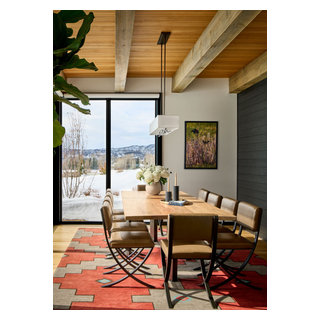 Steamboat - Modern - Dining Room - Denver - by Alexa Interiors LLC | Houzz