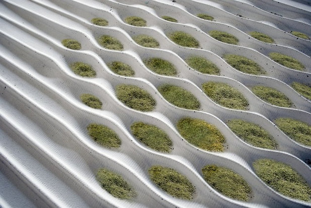 Zoom sur la mousse et ses nombreuses utilisations